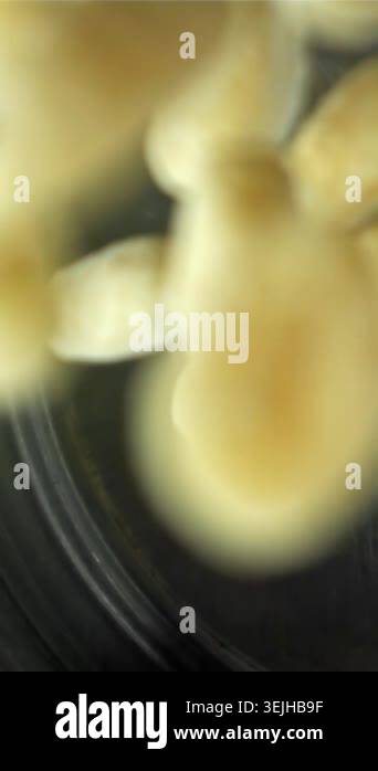 Potato gnocchi fall into a pot of water. Filmed on a high-speed camera ...
