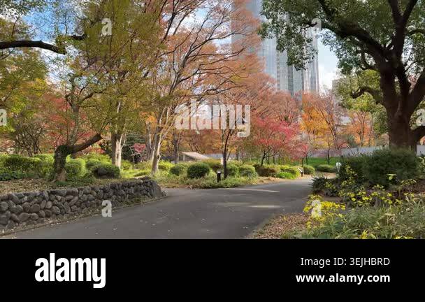 Hibiya Park, Japan Tokyo 2023 winter Stock Video Footage - Alamy