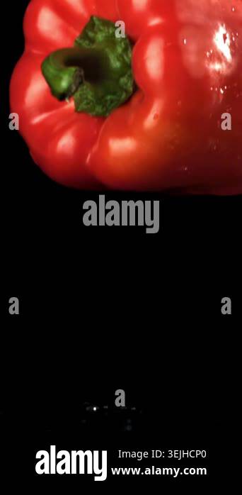 Single red bell pepper rolling on glossy black surface with splash ...