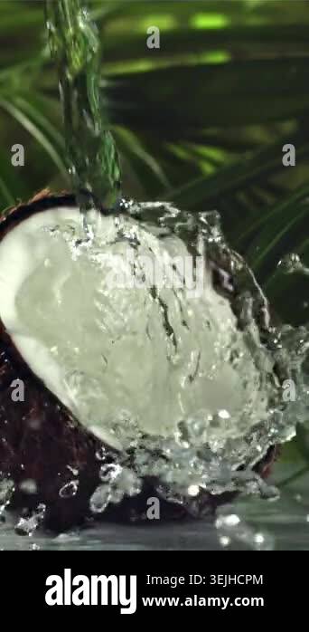 Coconut with splashes of water. Filmed on a high-speed camera at 1000 ...