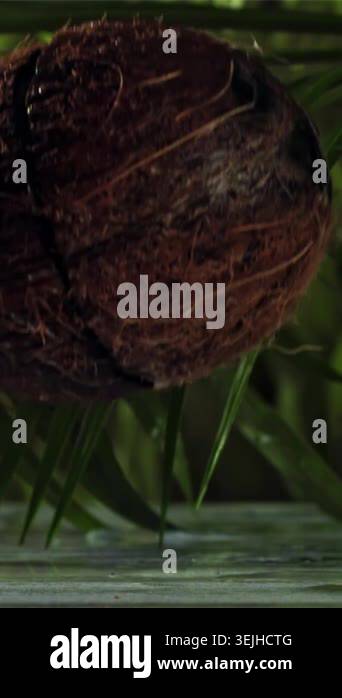 The coconut breaks in half with splashes. Filmed on a high-speed camera ...