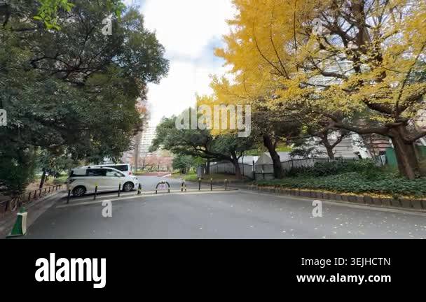 Hibiya Park, Japan Tokyo 2023 winter Stock Video Footage - Alamy