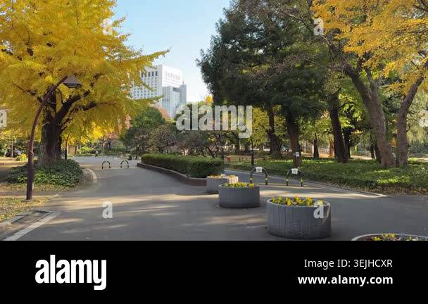 Hibiya Park, Japan Tokyo 2023 winter Stock Video Footage - Alamy