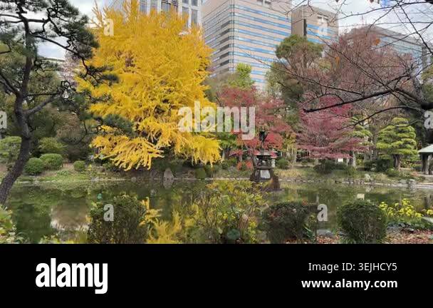 Hibiya Park, Japan Tokyo 2023 winter Stock Video Footage - Alamy