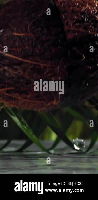 The coconut breaks in half with splashes. Filmed on a high-speed camera ...