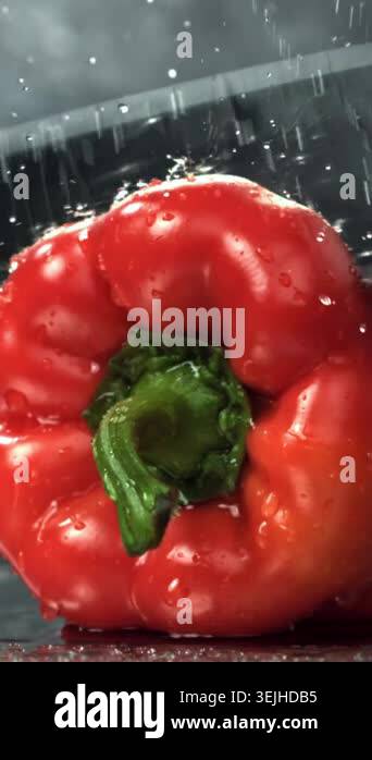 Knife slicing red bell pepper on wet board, sharp blade cutting Filmed ...