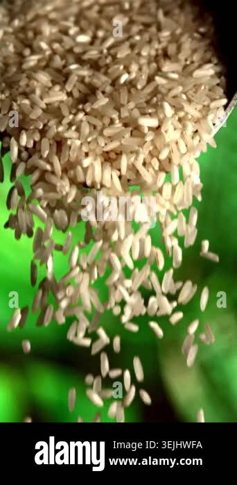 Raw rice falls off the scoop. Against a background of green foliage ...