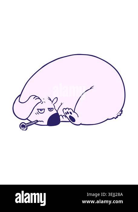 shine light effect animation of ill polar bear cartoon Stock Video ...