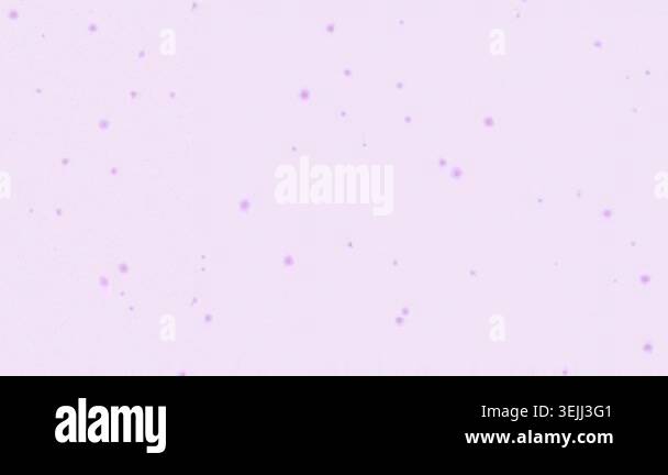 light pink, yellow vector background with spots Stock Video Footage - Alamy
