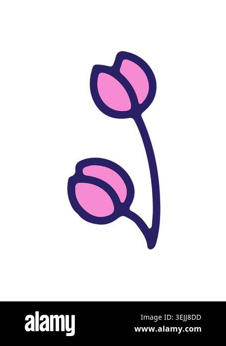 jiggle motion animation of simple tulip flower illustration Stock Video ...