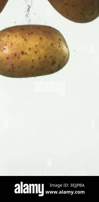 Potatoes falling under water on a white background. Filmed on a high ...