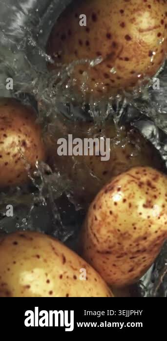 Potatoes fall into a pot of water. View from above. Filmed on a high ...