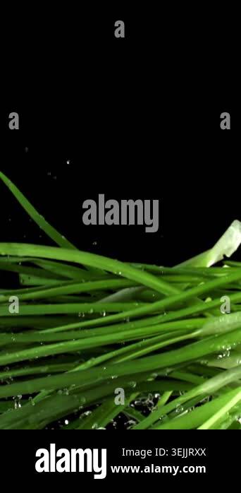 Green onions fly up and fall down on a black background. Filmed on a ...
