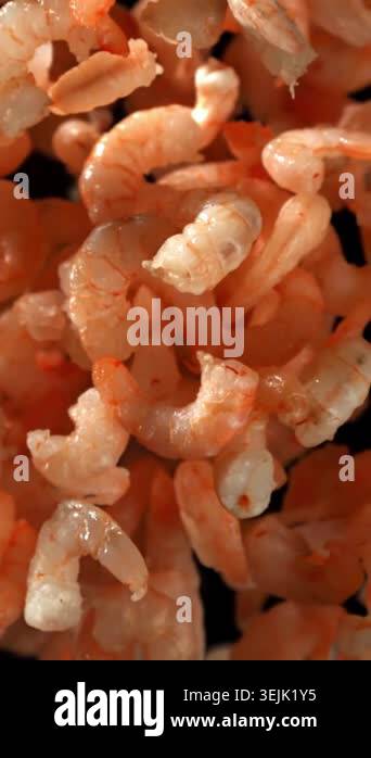 The shrimp fly up and fall down. Filmed on a high-speed camera at 1000 ...