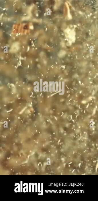 The sawdust flies up and down. Filmed on a high-speed camera at 1000 ...