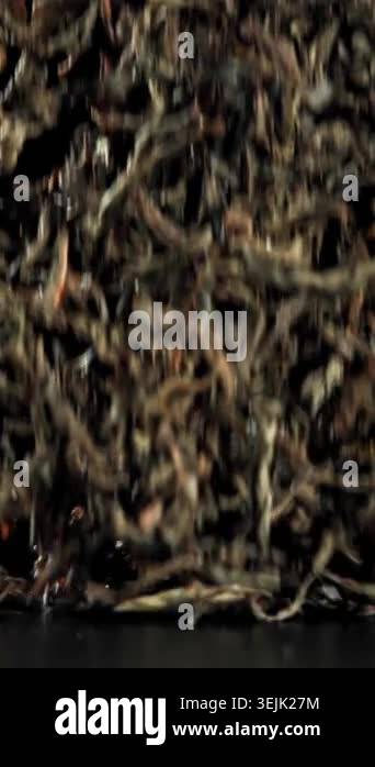Dry tea falls on the table. Filmed on a high-speed camera at 1000 fps ...
