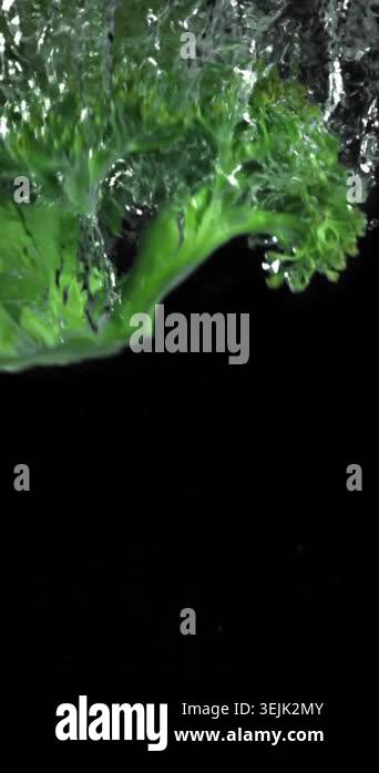 Broccoli fall underwater. Filmed on a high-speed camera at 1000 fps ...