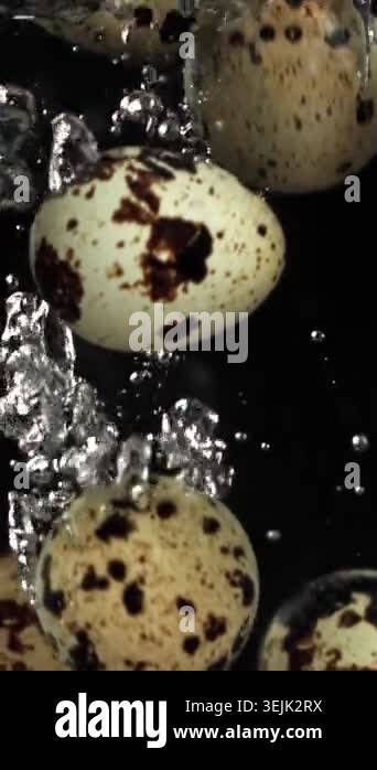 Quail eggs falling underwater on a black background. Filmed on a high ...