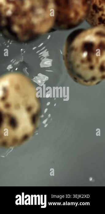 Quail eggs fall into a pot of water. Filmed on a high-speed camera at ...