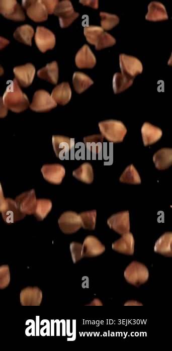 Buckwheat falls down. Filmed on a high-speed camera at 1000 fps. High ...