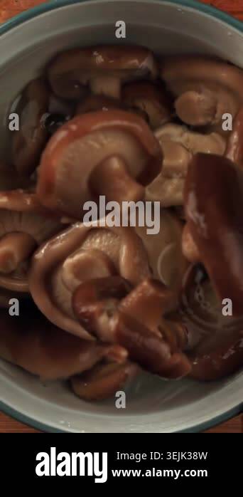 Pickled milk mushrooms fall into a bowl with brine. Filmed on a high ...