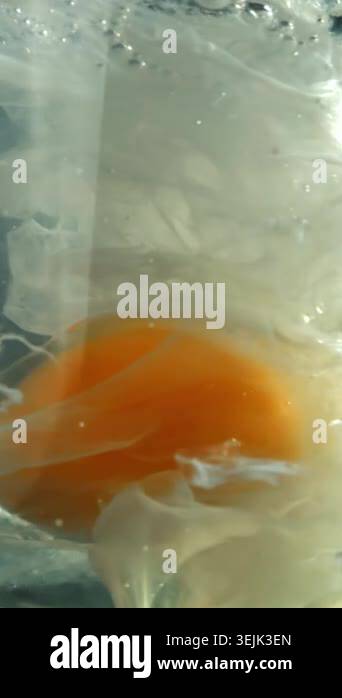 Cooking poached eggs. Filmed on a high-speed camera at 1000 fps. High ...