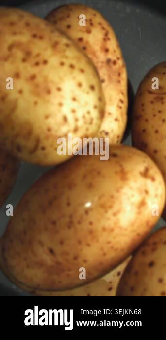 Potatoes fall into a pot of water. View from above. Filmed on a high ...