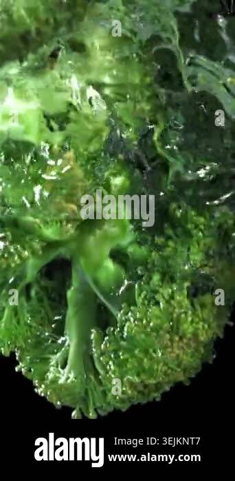 Broccoli fall underwater. Filmed on a high-speed camera at 1000 fps ...