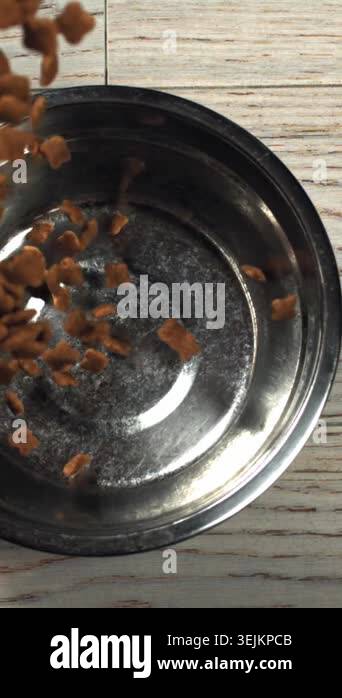 Dog food falls into the bowl. Filmed on a high-speed camera at 1000 fps ...
