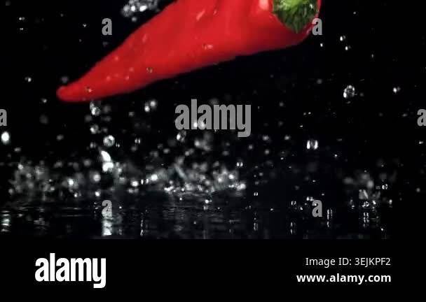 Closeup pepper stem with water, intense macro focus on texture Filmed ...
