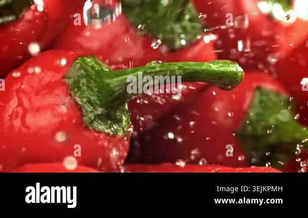Red pepper stem with hanging droplet, extreme closeup, glossy red ...