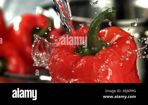 Closeup pepper stem with water, intense macro focus on texture Filmed ...