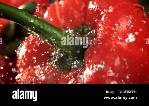 Closeup pepper stem with water, intense macro focus on texture Filmed ...