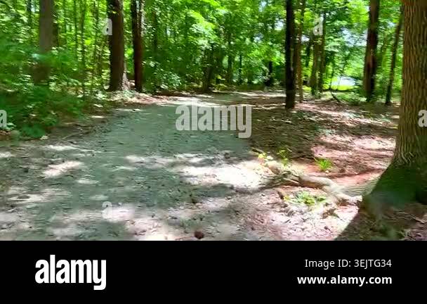 First person view of hiking on a trail Stock Video Footage - Alamy