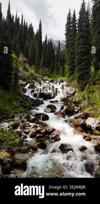 Vertical video of aerial drone scenery of the mountain river in the ...