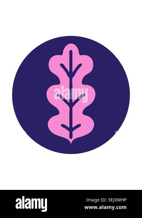 spinning motion animation of iconic tattoo style image of leaf Stock ...