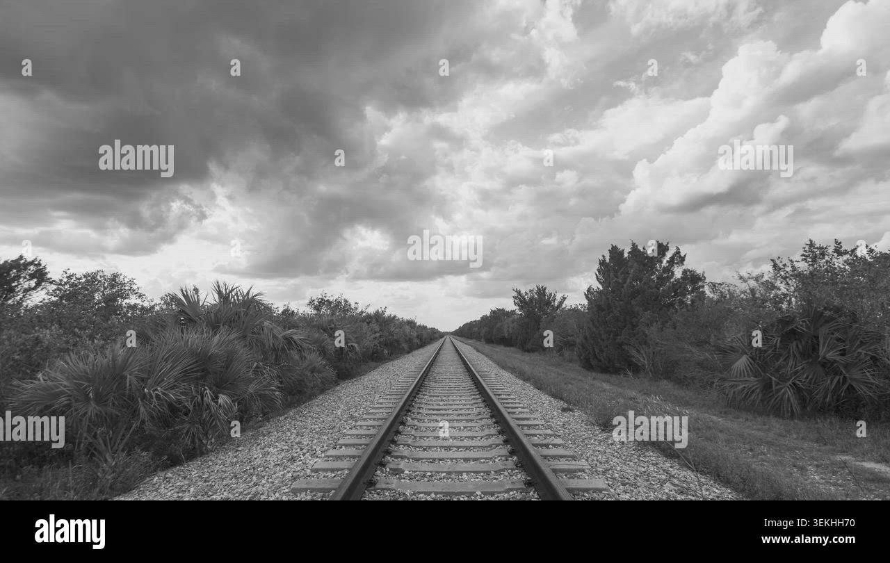 Train Tracks Stock Video Footage - Alamy