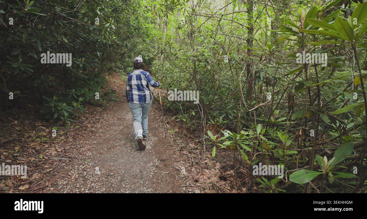Hiker Stock Video Footage - Alamy