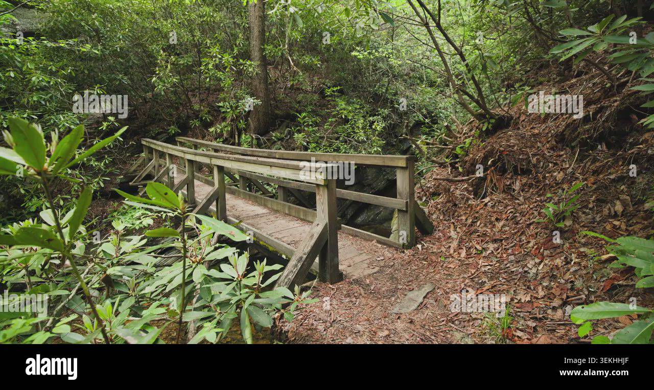 Wooden foot bridge Stock Video Footage - Alamy