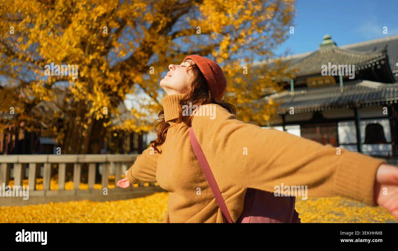 Woman admires gingko tree in Japan Stock Video Footage - Alamy