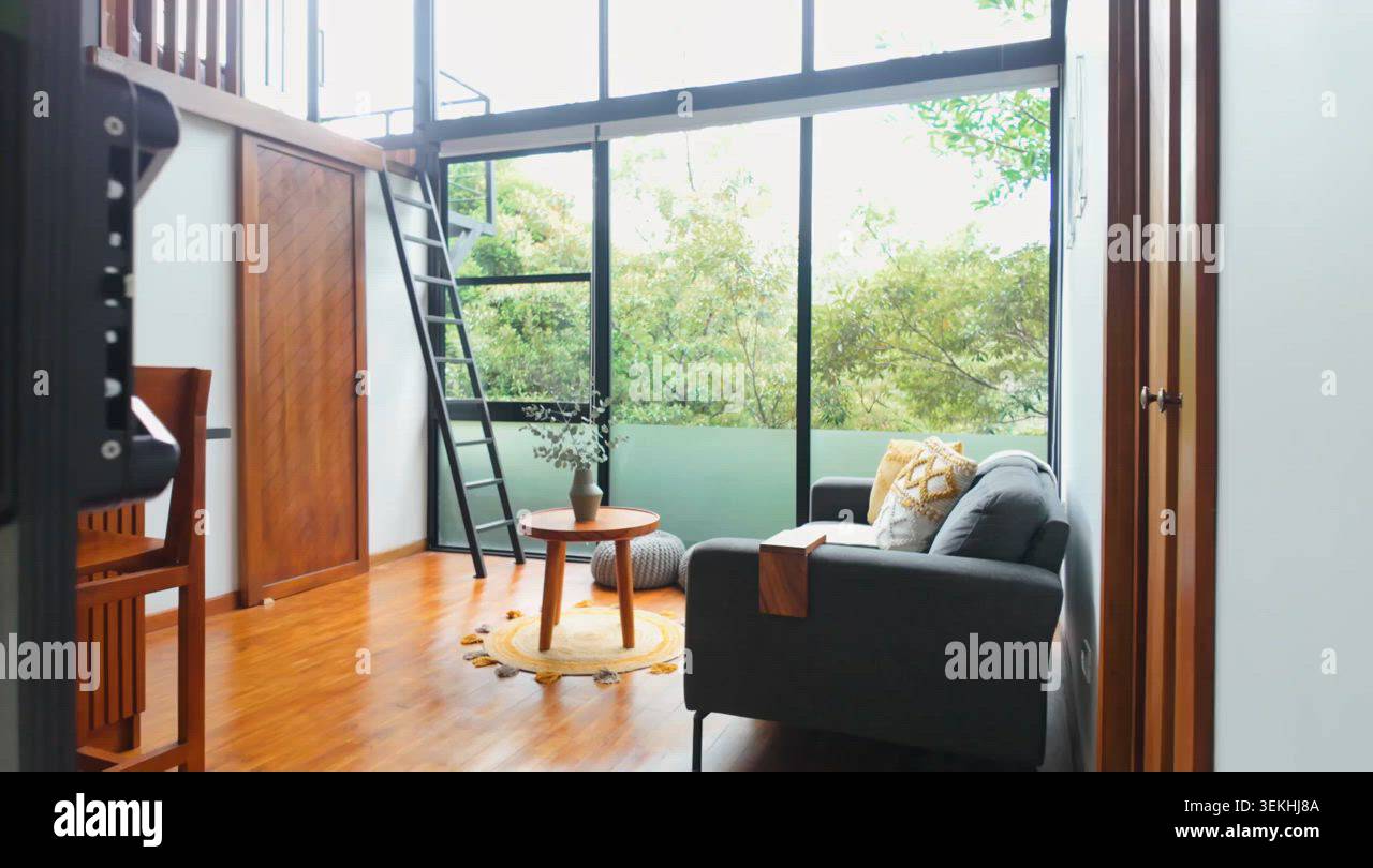 living room with a view of the outside Stock Video Footage - Alamy