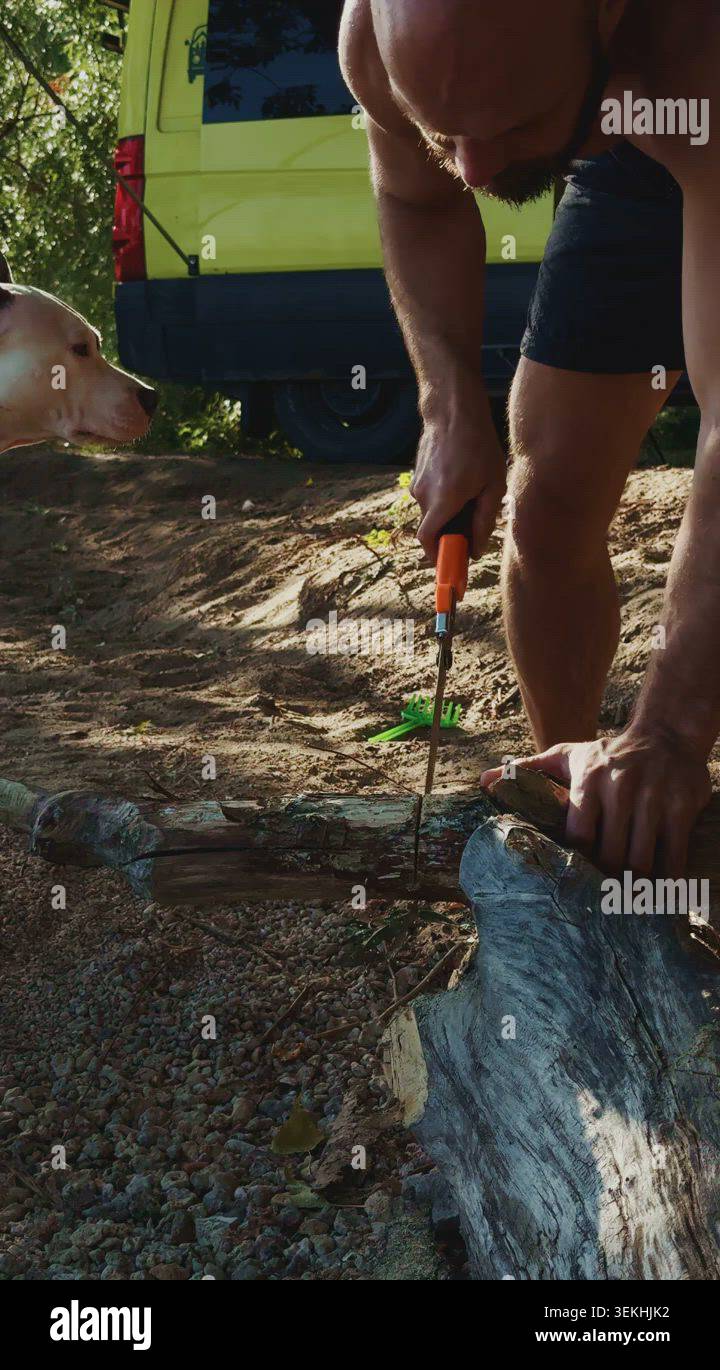 Man Uses Saw to Cut Wood For Campfire Near Camper Van With His Pet Dog ...