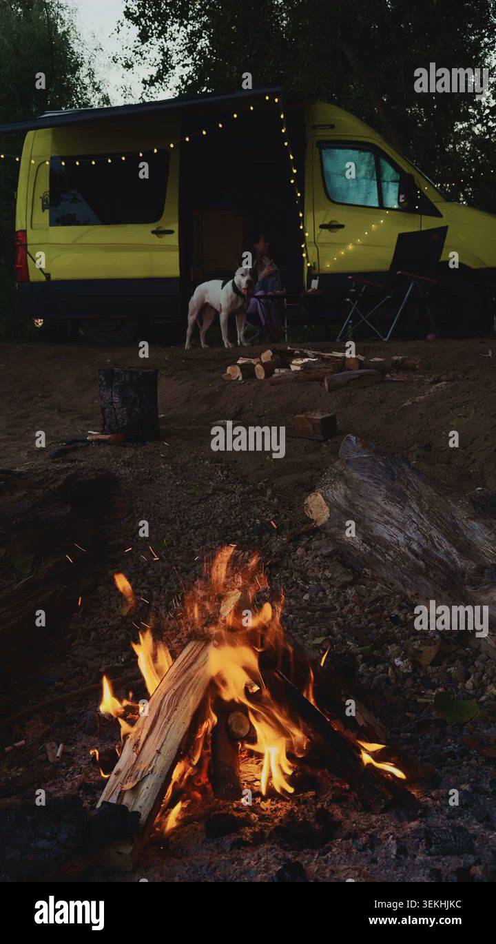 Cozy Vanlife Trip With Campfire and Dog at Van Parking Nature Spot ...
