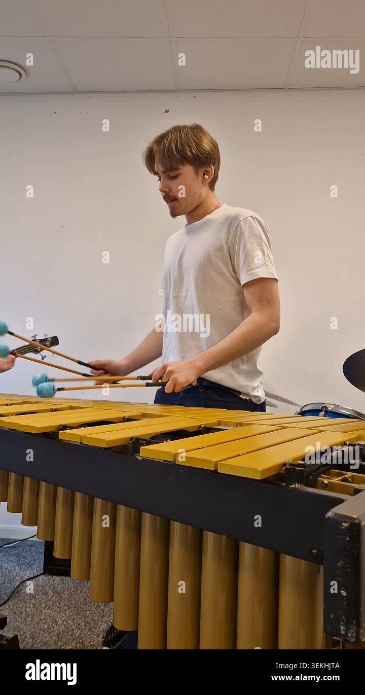 Young Male Musician Playing Marimba with Four Mallets in Music studio ...