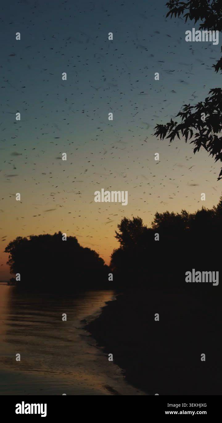Silent Sunset Evening View Of Nature Stock Video Footage - Alamy