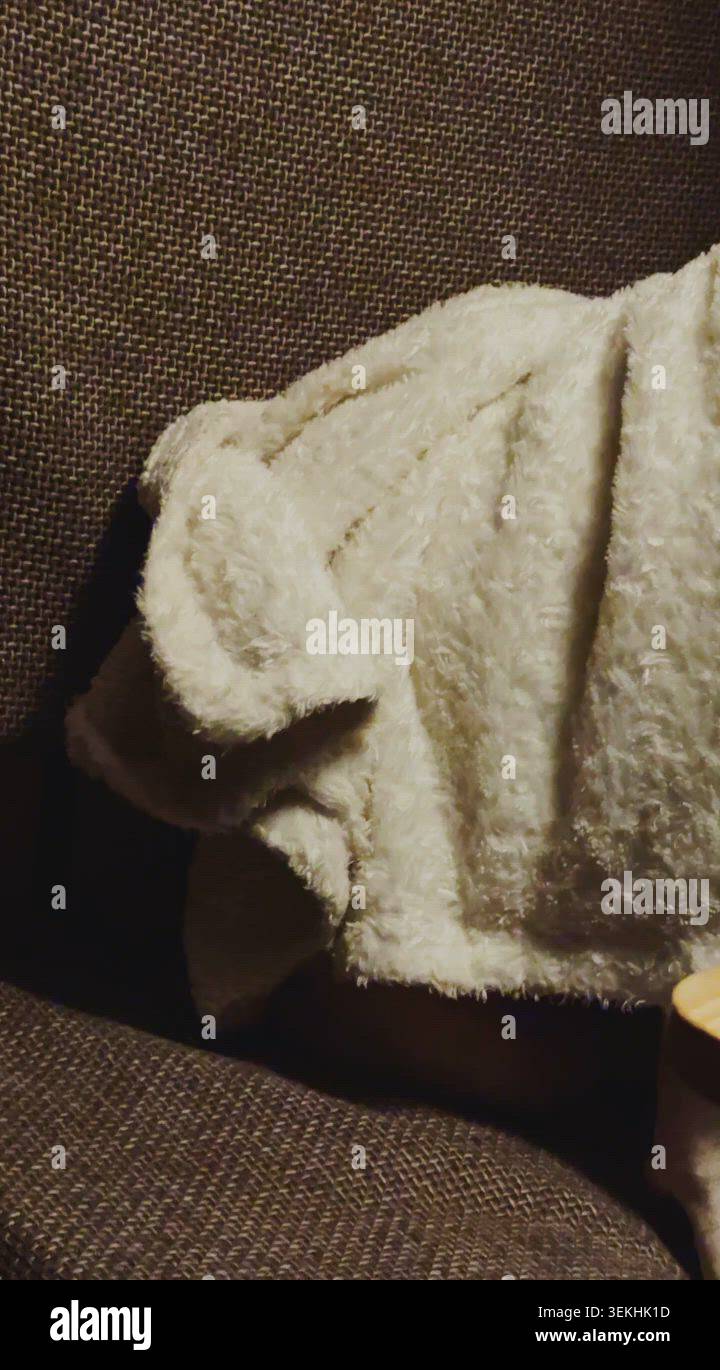 Dog In Cozy Blanket Is Feeling Sad About Bad Weather In Camper Stock ...