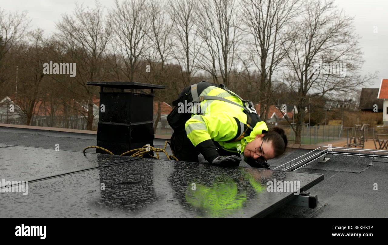 Specialist Checking Electrical Connections Under Solar Panels Stock ...
