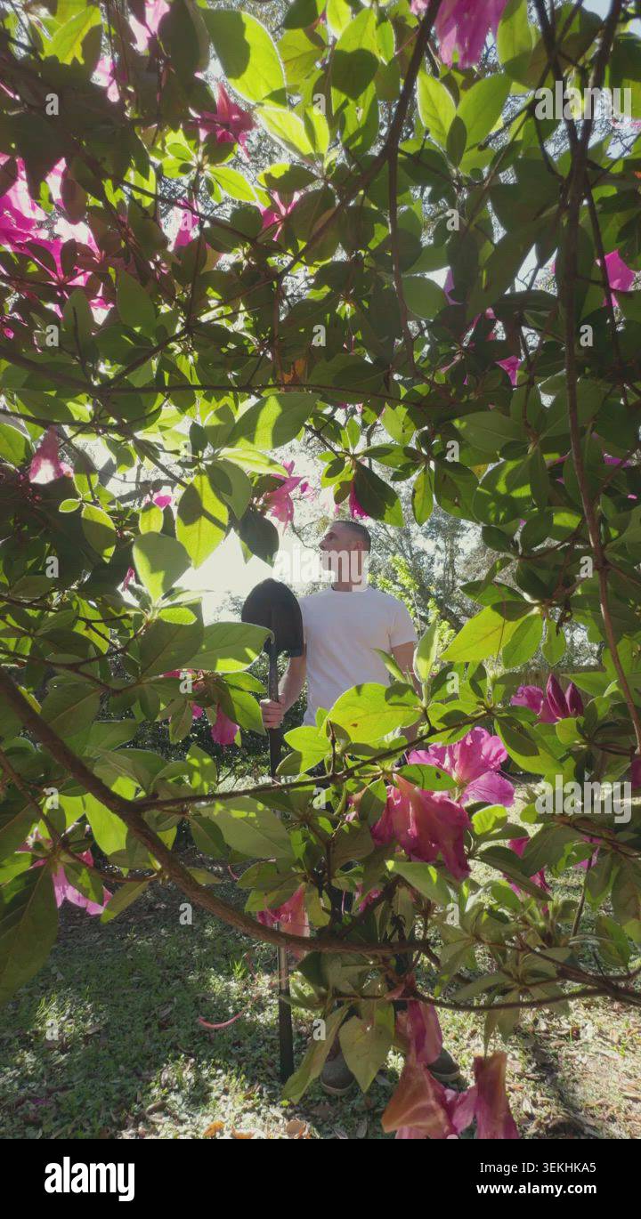 Man Yard Work Spring Flowers Outdoor Nature Stock Video Footage - Alamy