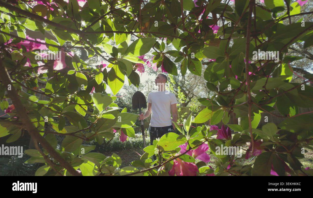 Man With Shovel for Yard Work Spring Flowers Stock Video Footage - Alamy
