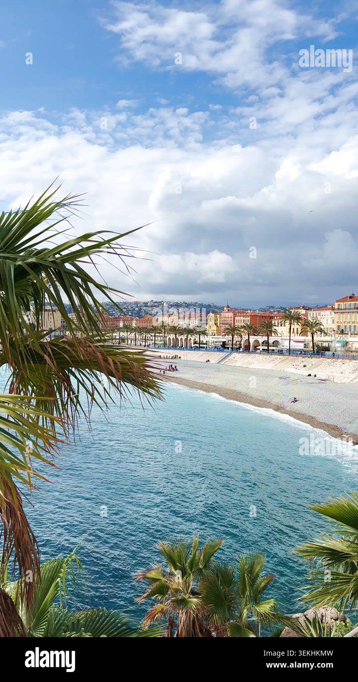 Nice beach, blue sky and palm tree landscape Stock Video Footage - Alamy